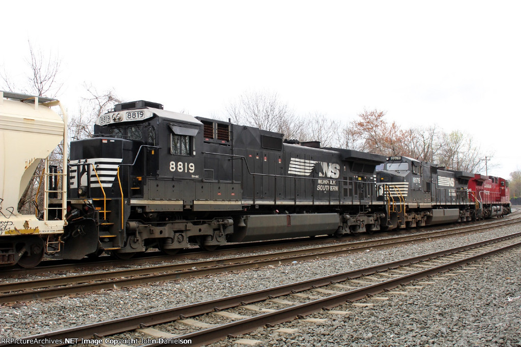NS 8819